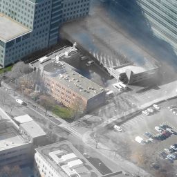 Harvard Medical School